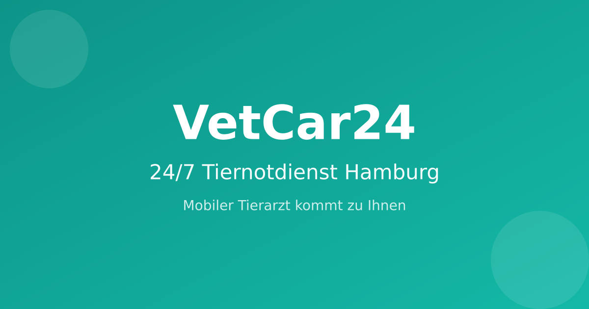 VetCar24 – Mobiler Tierarzt Hamburg | Tiernotdienst